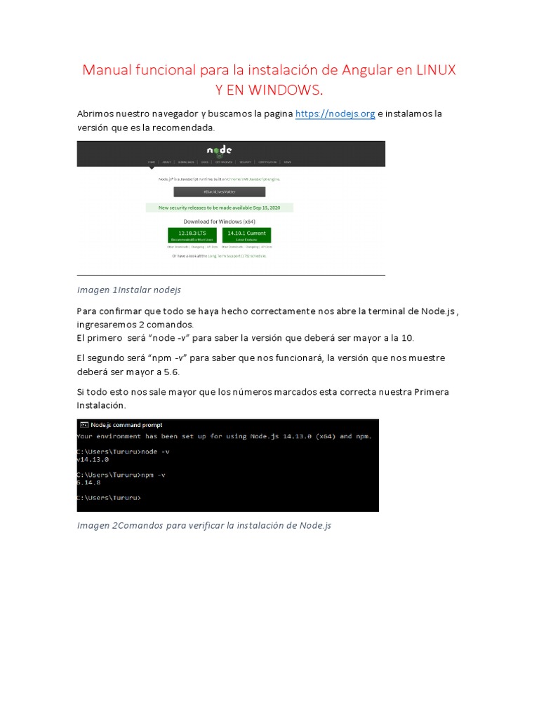 Manual Funcional para Instalar Angular en Windows y Linux. | PDF | Interfaz de línea de comando ...