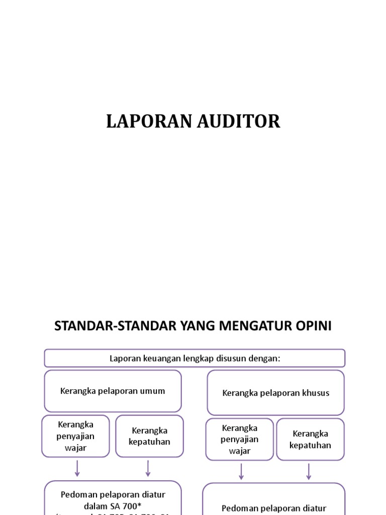 Laporan Auditor | PDF