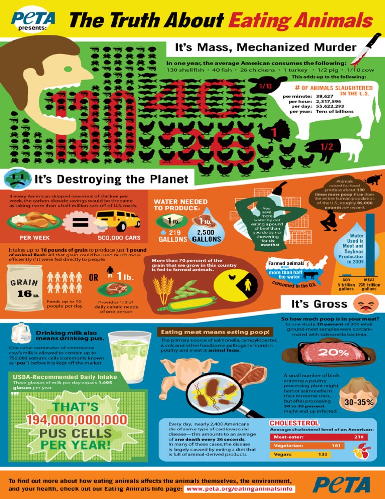 The Truth About Eating Animals | PDF