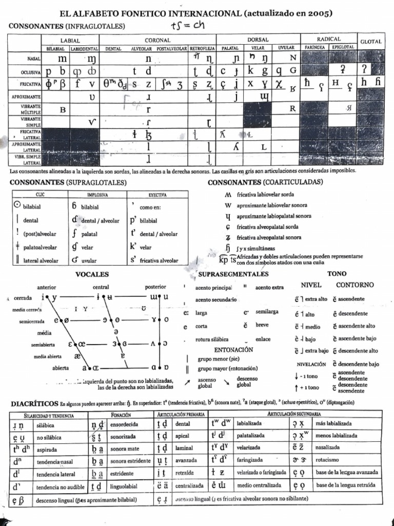 Tabla IPA | PDF | Fonética | Lingüística