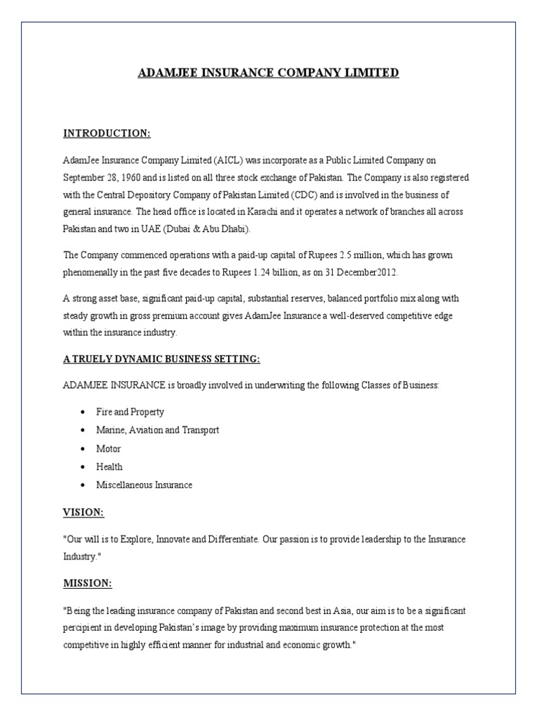 Adamjee Insurance Overview & Strategy | PDF | Credit Rating ...