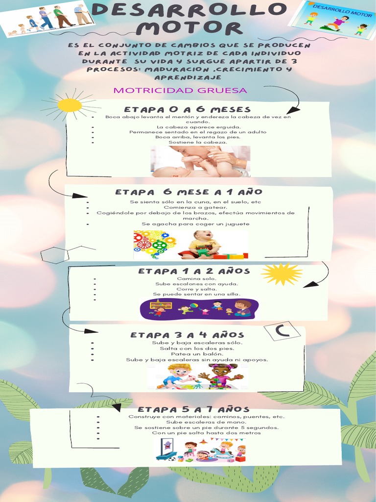 Cuales Son Las 6 Etapas Del Desarrollo Sensoriomotor