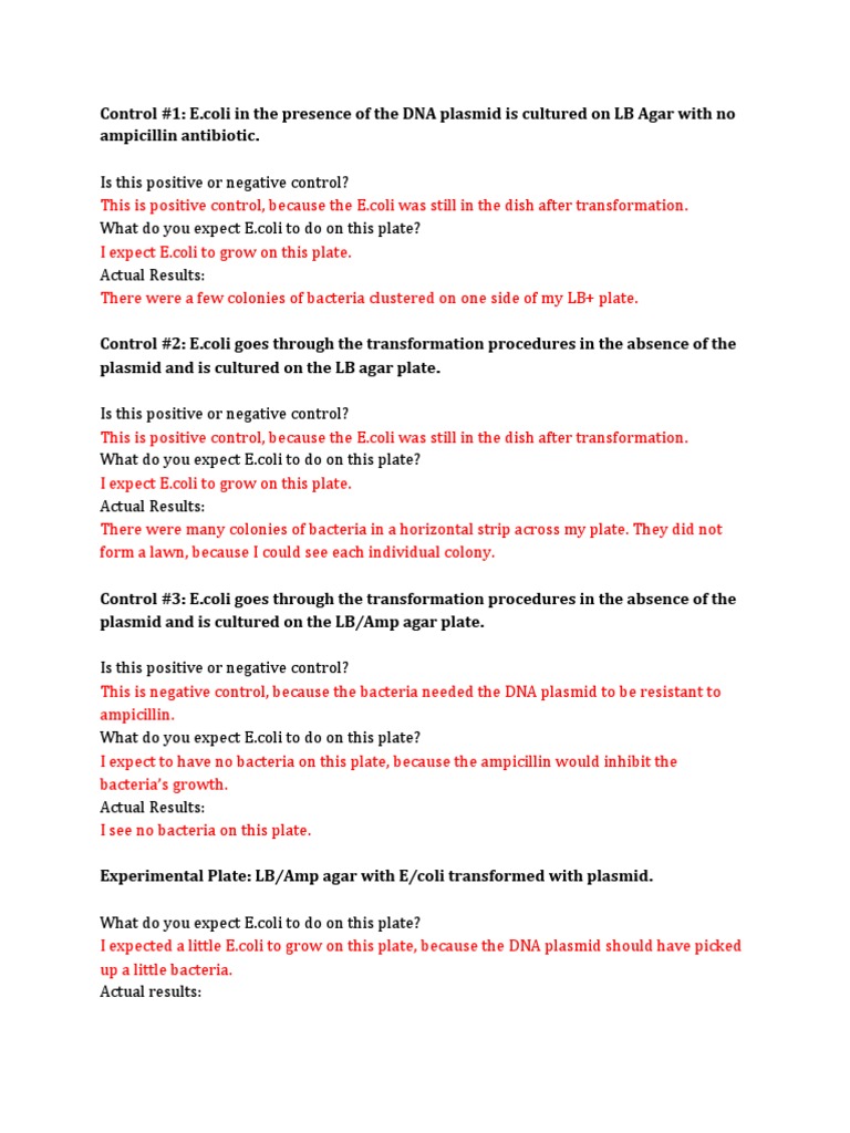 AP Bio Lab 7 Questions | PDF | Transformation (Genetics) | Escherichia Coli