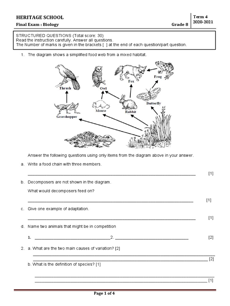 Grade 8 Biology Final Exam Guide | PDF | Genetics | Biological Evolution