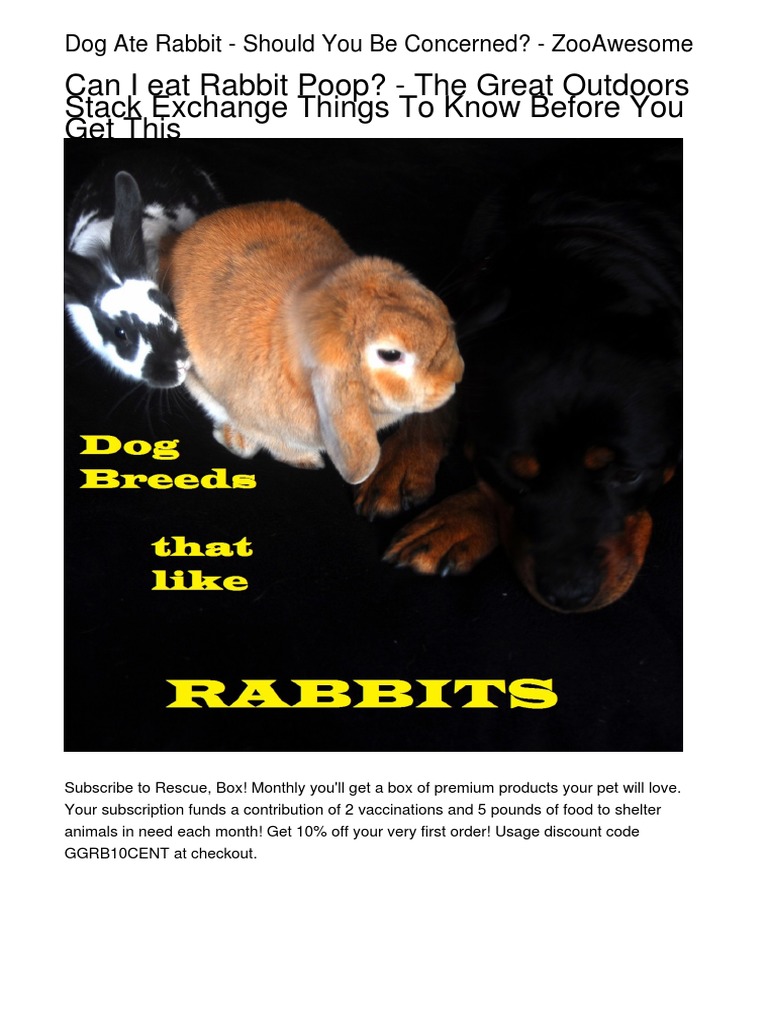 Are Rabbit Droppings Harmful To Humans Rabbit Controlueblj | PDF ...