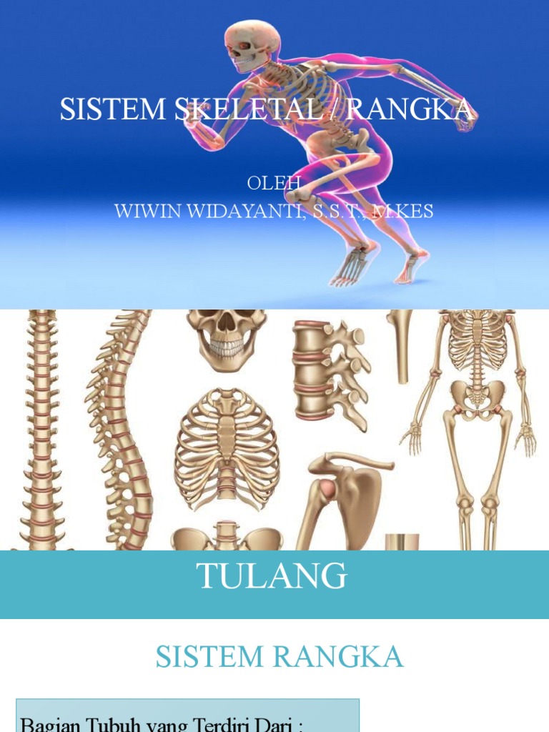 Sistem Skeletal-1 | PDF