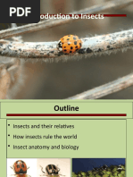 The Insect Nomenclature and Definition Cards | PDF | Insects | Eye