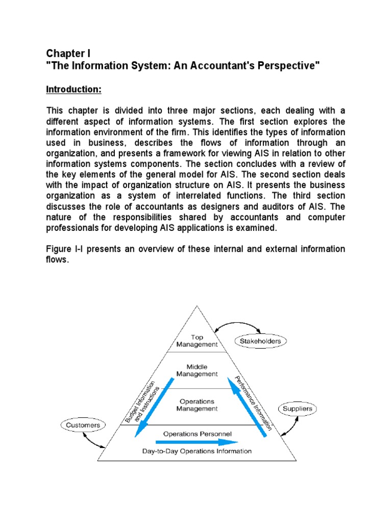 Ais Chapter 1 Module Pdf Audit Databases