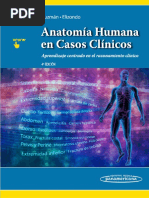 Curva de Scammon | PDF | Estilo de vida