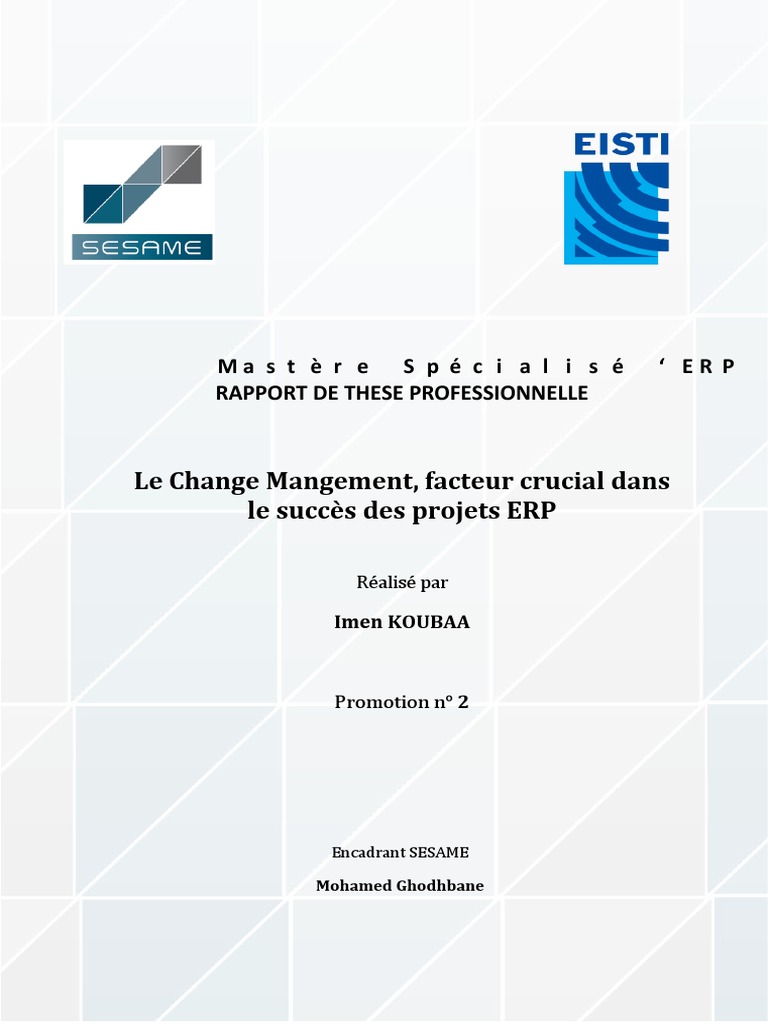 Mastere Specialise ERP RAPPORT DE THESE | PDF | Progiciel de gestion intégré | Sociétés