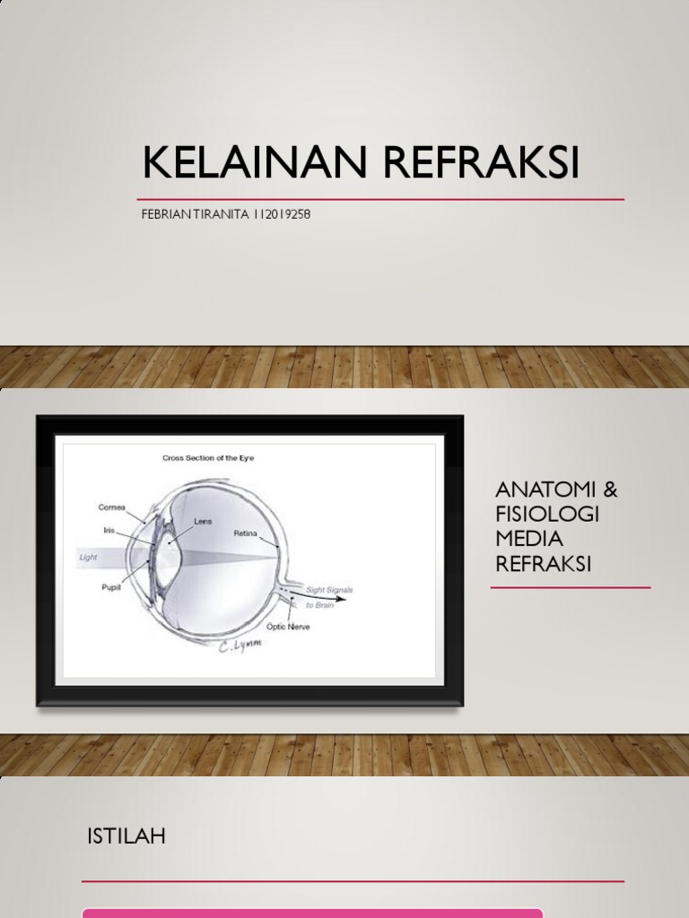 Kelainan Refraksi | PDF