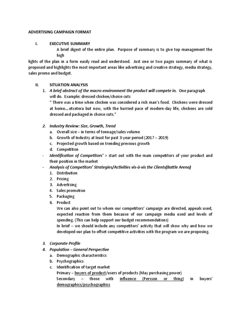 Advertising Campaign Format I. Executive Summary | PDF | Brand ...
