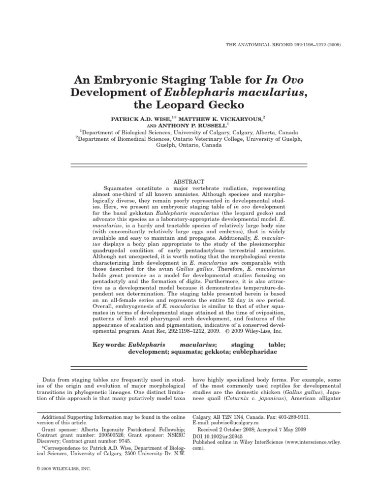 Leopard Gecko Embryo Staging Guide | PDF | Anatomical Terms Of Location ...