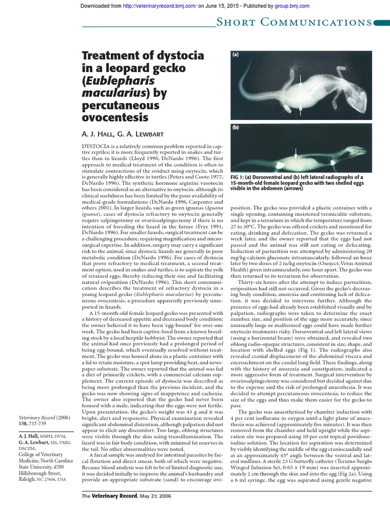 Treatment of Dystocia in LG by Percutaneousovocentesis | PDF | Lizard ...