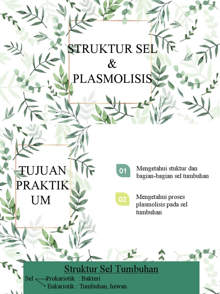 Struktur Sel & Plasmolisis | PDF