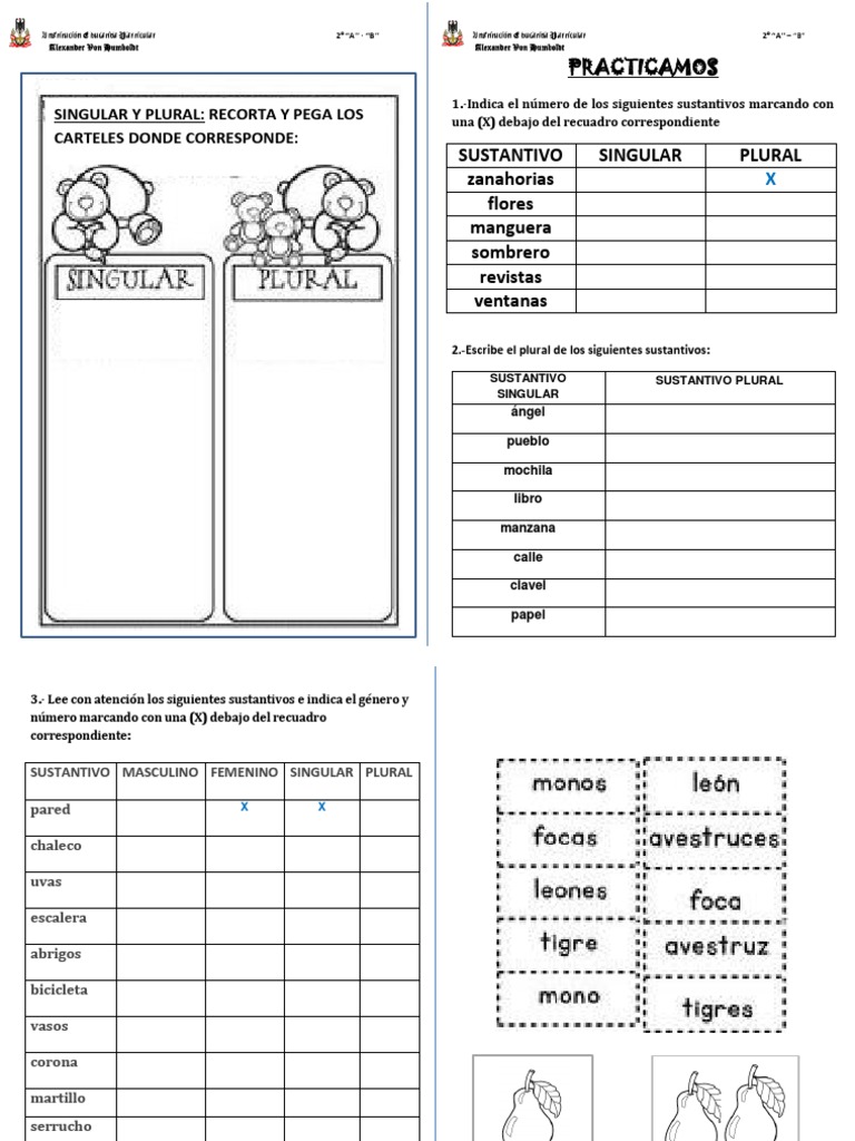 Práctica Número Del Sustantivo | PDF