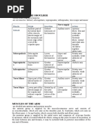 Butler Neural Mobilization | PDF | Nervous System | Nerve