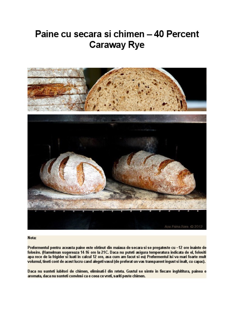 Paine Cu Secara Si Chimen - 40 Percent Caraway Rye | PDF