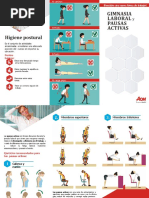 Triptico Higiene Postural | PDF | La columna vertebral | Anatomía humana