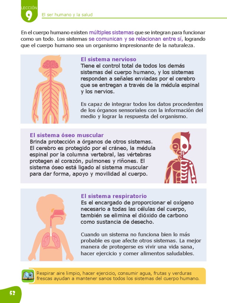 52_4° CCNN Libro de Estudiante | PDF