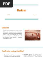 Clasificación de Los Tipos de Heridas | PDF | Piel | Herida