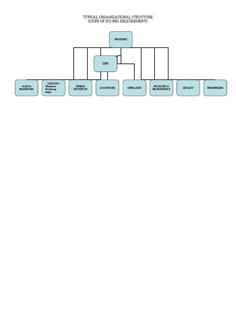 Typical Organizational Structure | PDF
