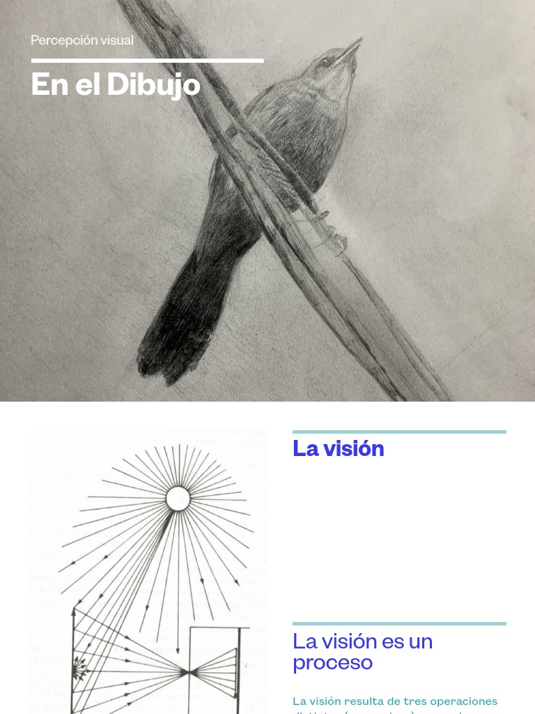 Percepción Visual en El Dibujo | PDF | Relaciones personales, crianza y ...