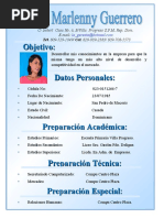 Curriculum Vitae | PDF | Business | Plan de estudios