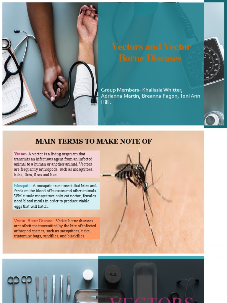 Vector Borne Diseases (HSB Presentation) | PDF | Mosquito | Health Sciences