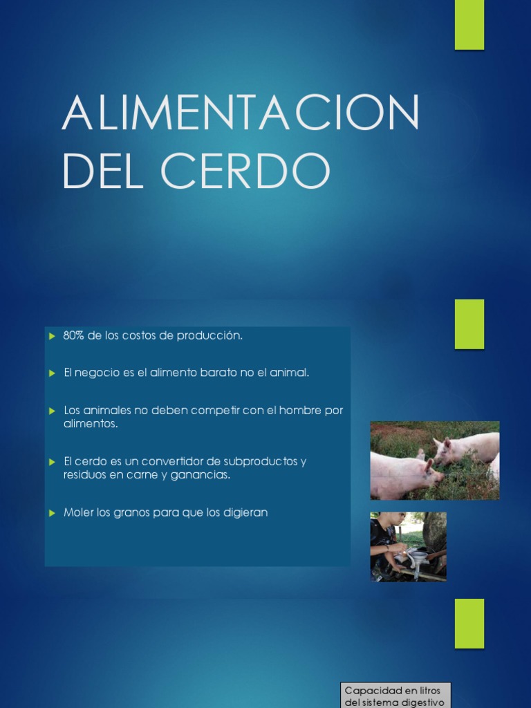 Alimentación Eficiente del Cerdo | PDF | Cerdo doméstico | Alimentos