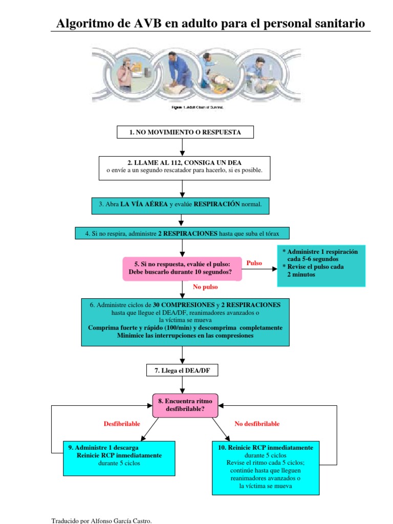 Algoritmos Rcp Reanimación Cardiopulmonar Enfermedades Cardiovasculares