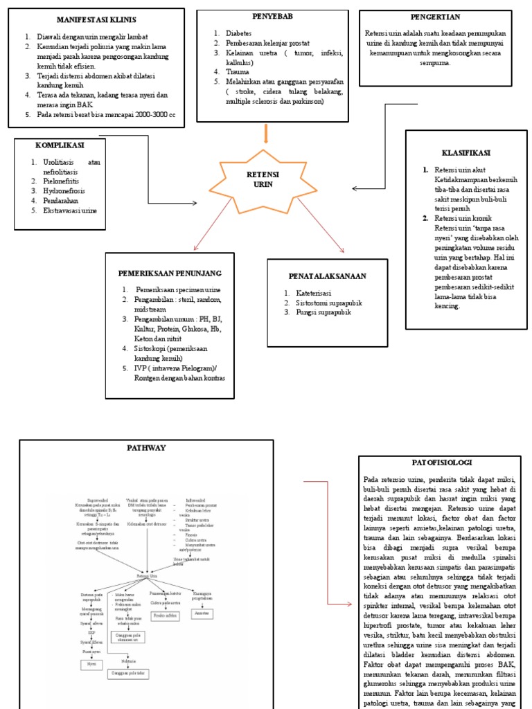 MANAJEMEN RETENSI URIN | PDF MANAJEMEN RETENSI URIN | PDF