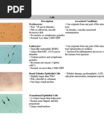 Nugent Score Interpretation | PDF | Clinical Pathology | Prokaryote