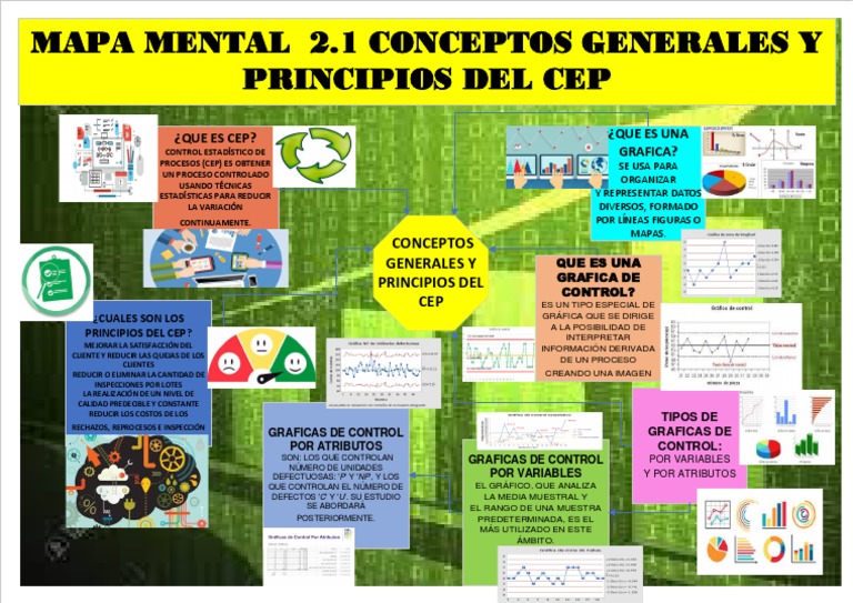 2.1 Conceptos Generales y Principios Del Cep | PDF | Estadísticas | Science