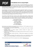 Disney BCG Matrix: Consumer Products: Theme Parks | PDF