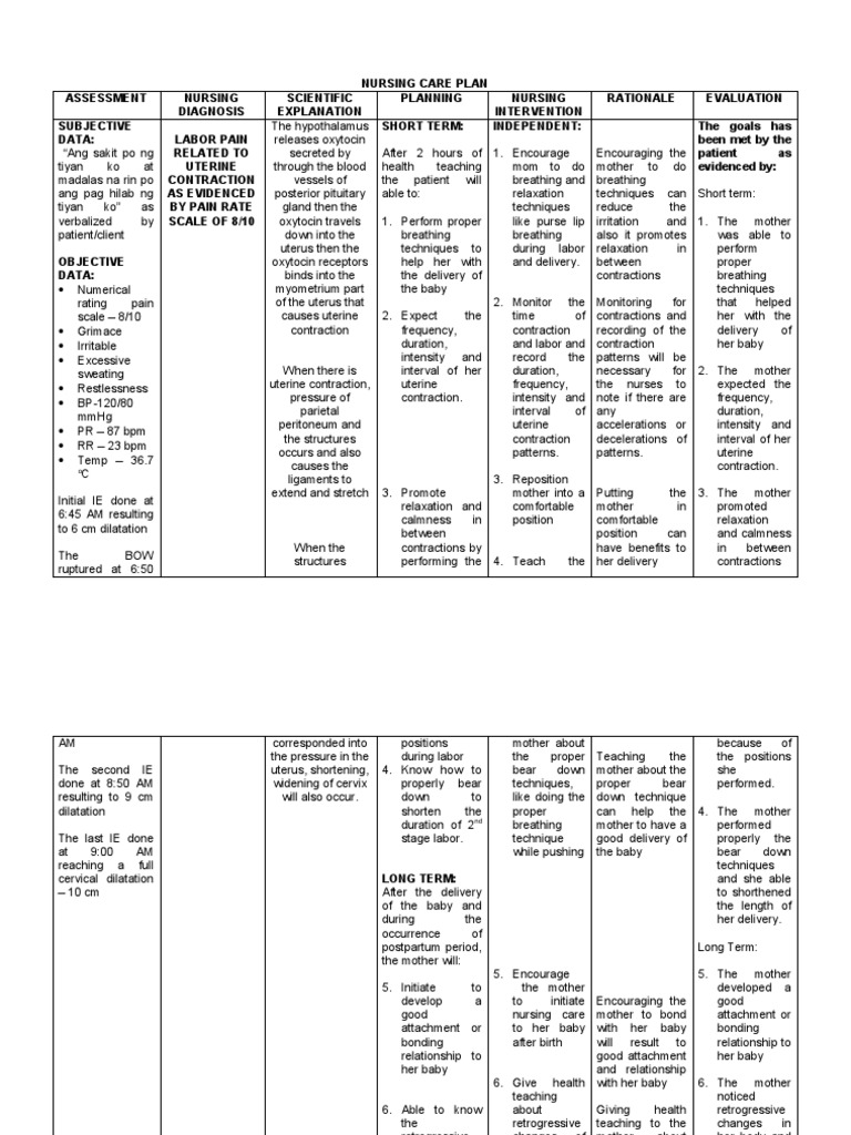 Nursing Care Plan for Labor Pain Management | PDF | Postpartum Period ...