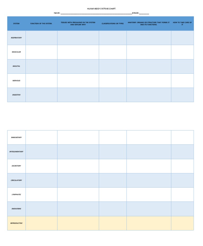 Human Body Systems Chart PDF