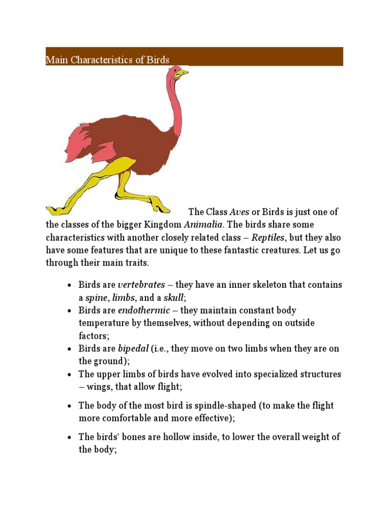 Main Characteristics of Birds | PDF