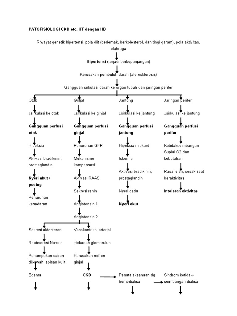 PATOFISIOLOGI CKD Etc HT+HD Erik | PDF
