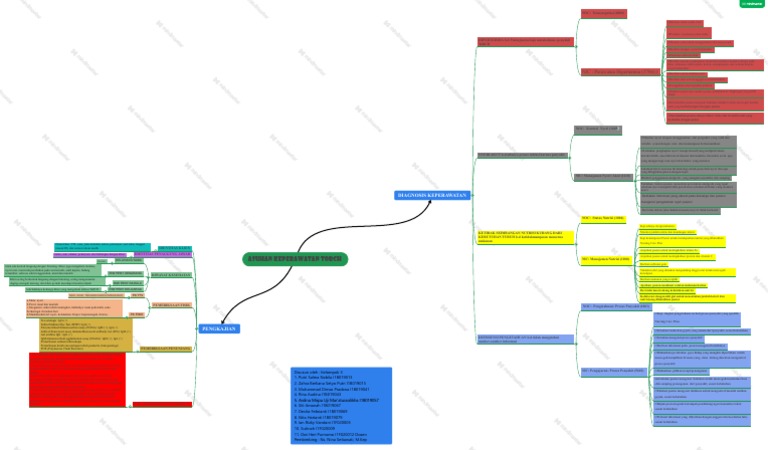 Kelompok Ahli 3 - Askep ToRCH - Mind Mapping | PDF