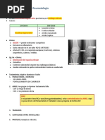 Anatomía de Surcos Bicipitales y Fosa Cubital | PDF | Extremidades ...