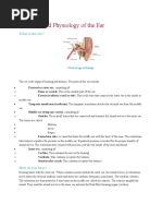 Oxford Stroke Classification: Also Known As Bamford Classification ...
