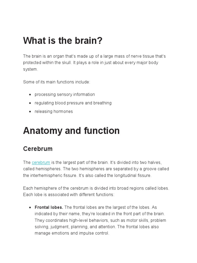 What Is The Brain?: Cerebrum | PDF | Self-Improvement