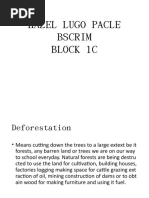 A Presentation On Deforestation | PDF | Deforestation | Logging