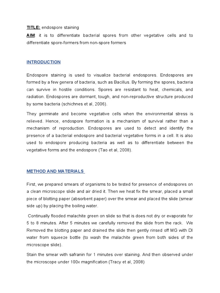 Mic Prac Report 3 | PDF | Staining | Microbiology