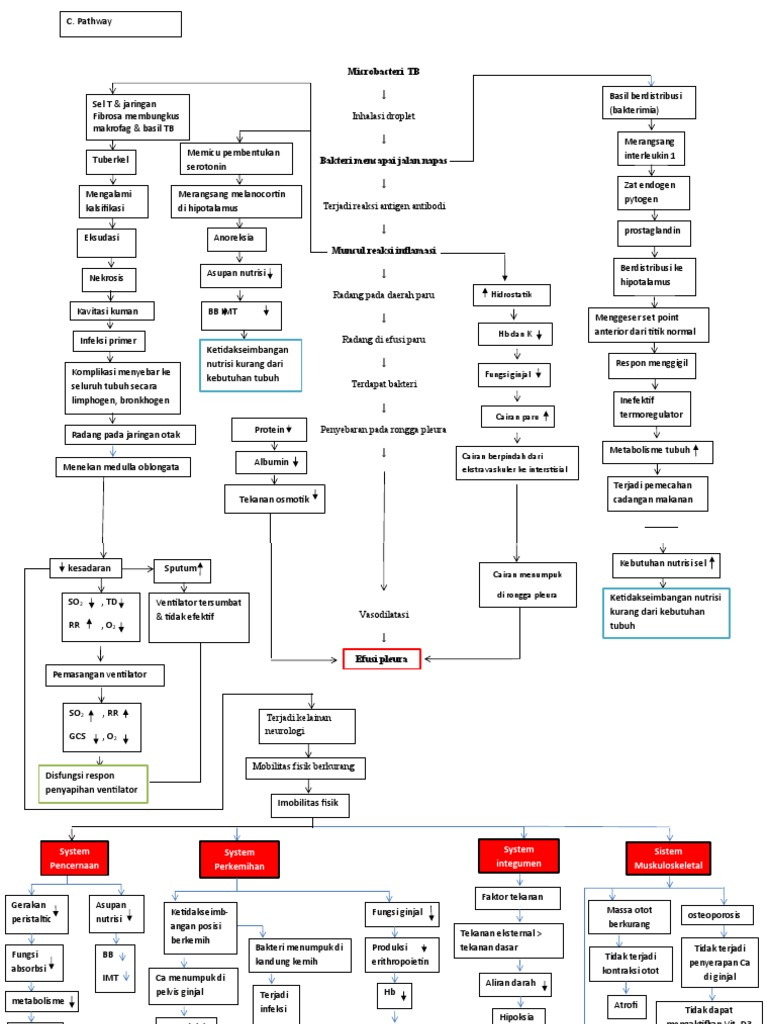 Pathway TB Baru | PDF