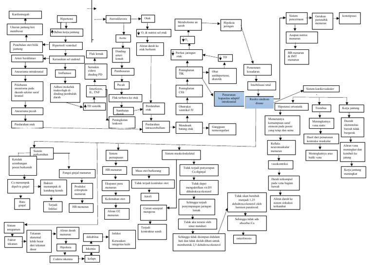Pathway Stroke Pis | PDF