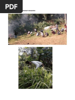 RESOLUTIONS For BNC FORMULATION | PDF | Malnutrition | Determinants Of ...