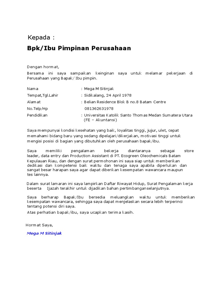 CV Mega Sitinjak | PDF