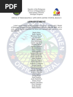 BADAC TEMPLATE - Council Organizational Structure | PDF